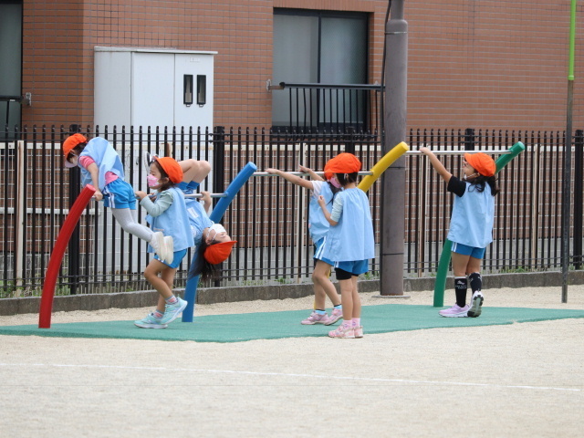 梅雨の合間2: 東岩槻幼稚園 園長ブログ